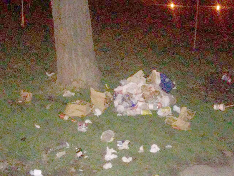 Parcul Tăbăcăriei, GROAPĂ de GUNOI pentru plimbăreţii nocturni ...