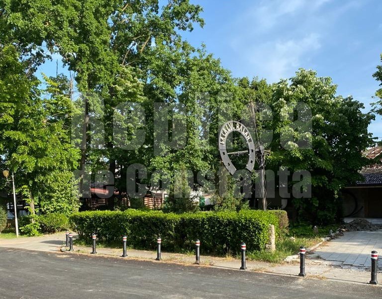 Calul Bălan din Neptun a fost cumpărat de o firmă renumită din Brașov ...