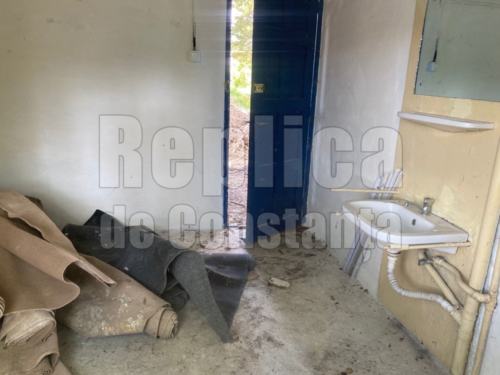 Luchi Georgescu, fosta ”soție” a lui Gigi Nețoiu, și-a vândut complexul ...