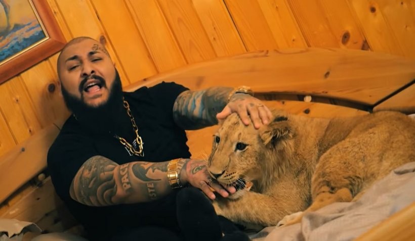 Dani Mocanu s-a ales cu amendă de 20.000 de euro și interdicție de ...