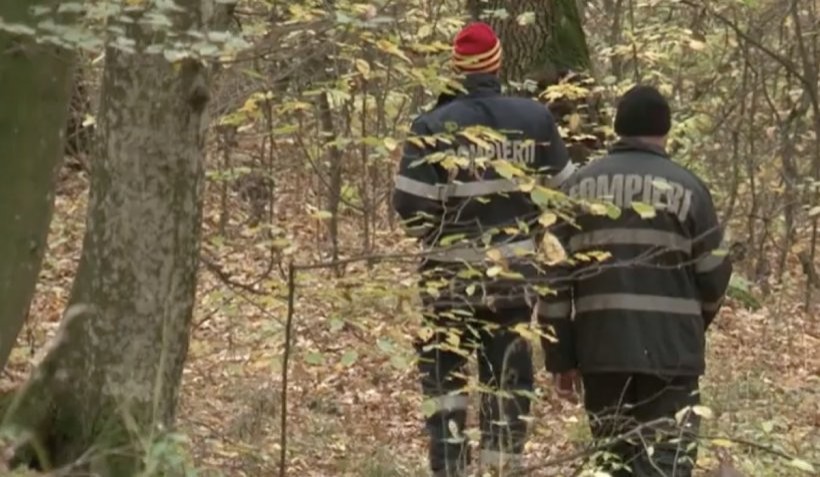 Șase copii, cu vârste între 6 și 12 ani, dispăruți noaptea într-o ...