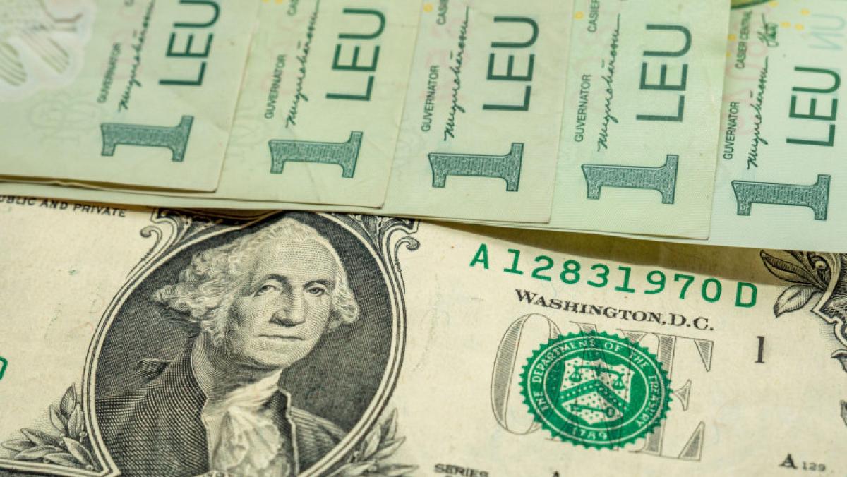 Leul românesc, surclasat de dolarul american şi de francul elveţian | replicaonline.ro