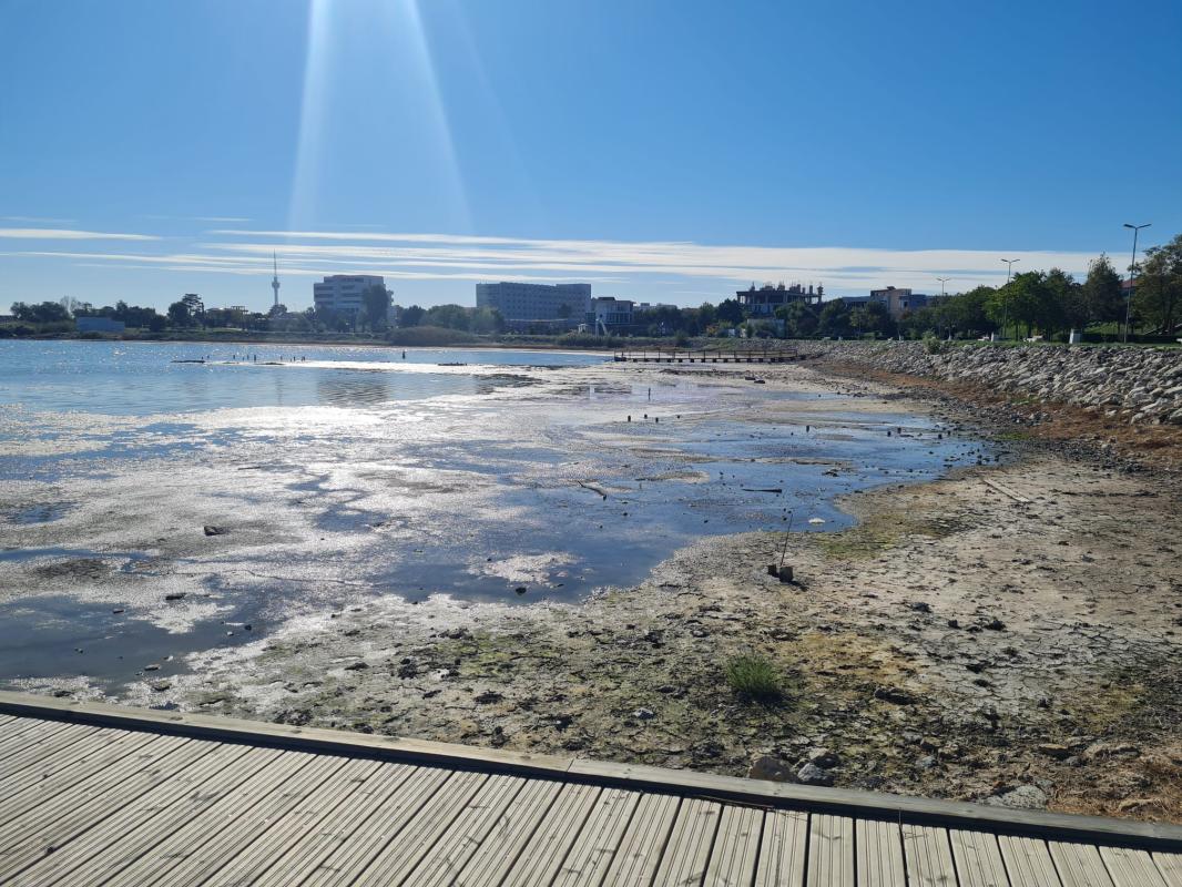 Lacul Techirghiol, pe cale de dispariție. Video | replicaonline.ro