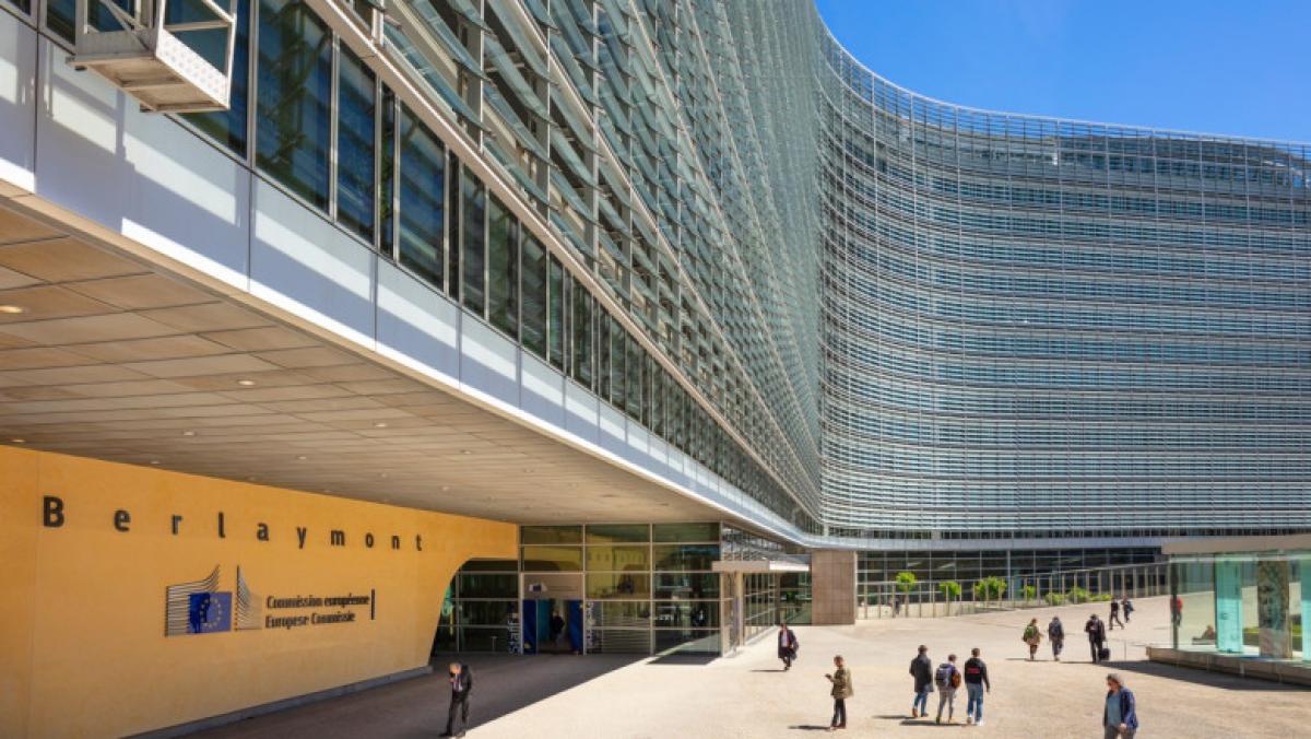 CE solicită României şi altor state copii ale planurilor lor de ...