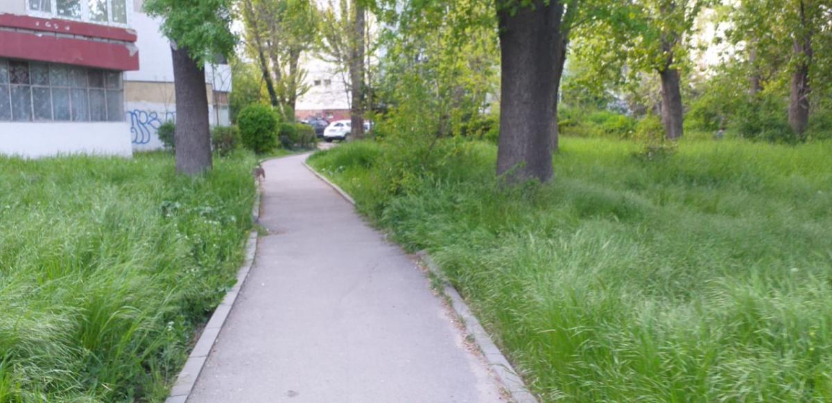 Primăria Constanța a pus la bătaie 25 de mil. de euro pentru ...