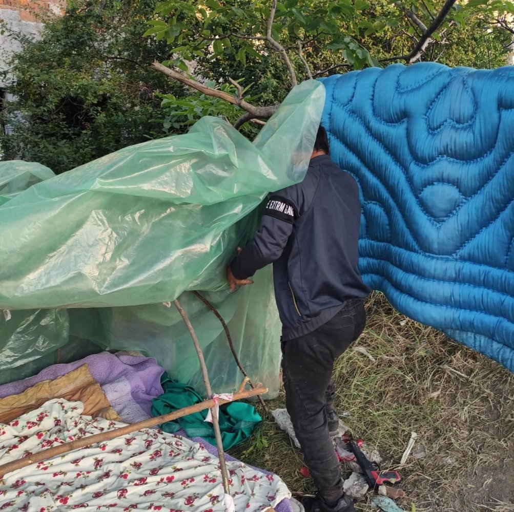 A plouat cu amenzi la Constanța | replicaonline.ro