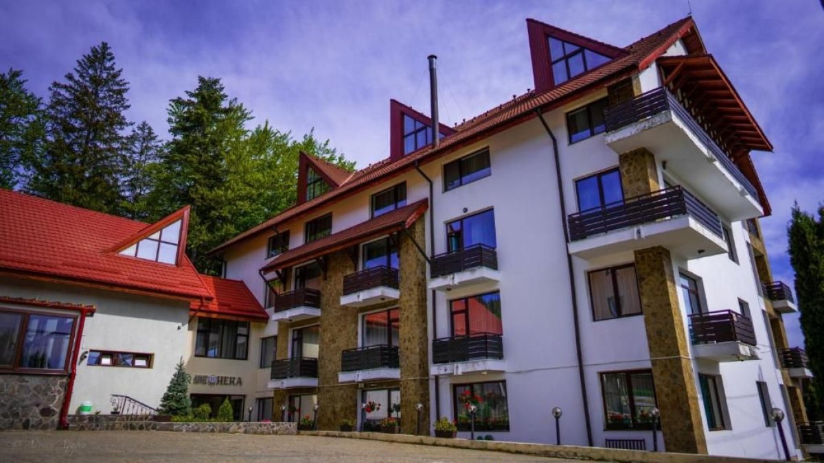 Familia fostului consilier Moisoiu cere falimentul lui Nassar Ghaleb ...