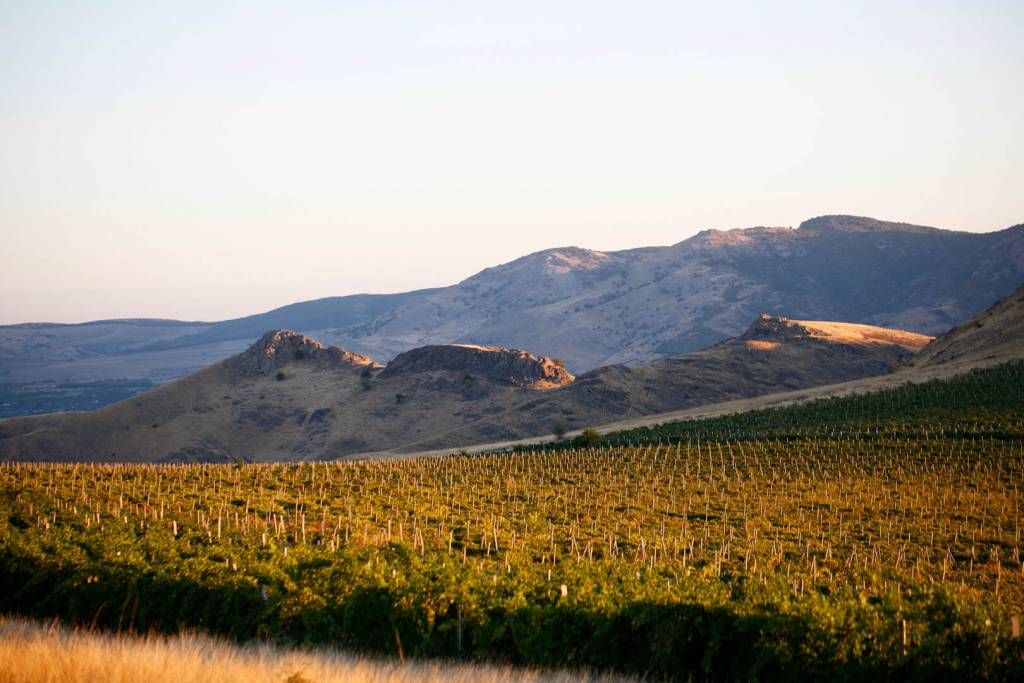 Crama Măcin, furnizorul oficial de vin al Casei Regale a României, a ...