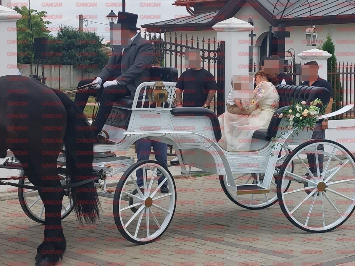 Cătălina Ponor, în caleașcă, la petrecerea de nuntă | replicaonline.ro