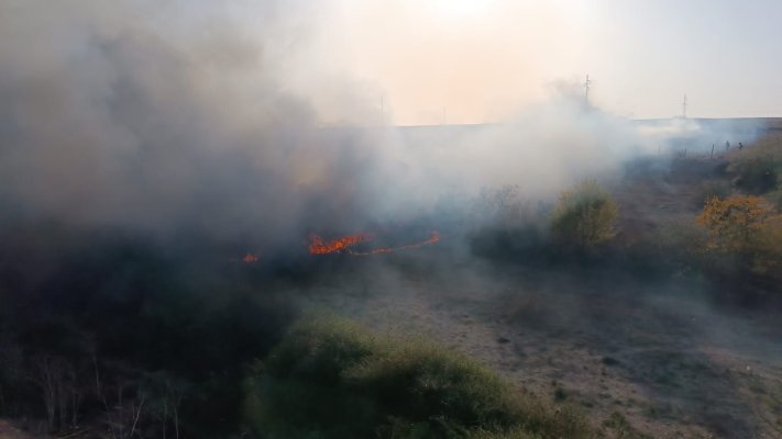 Zeci de animale salvate dintr-un incendiu puternic, la Medgidia. Video ...