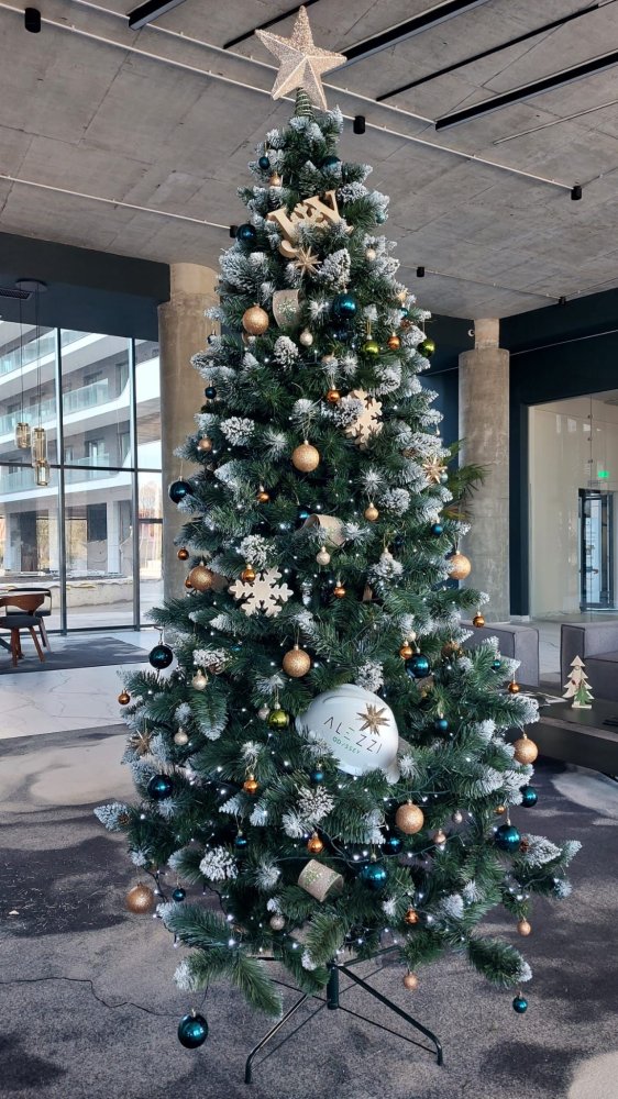 Sărbători fericite cu Alezzi.ro: O poveste românească de succes în ...