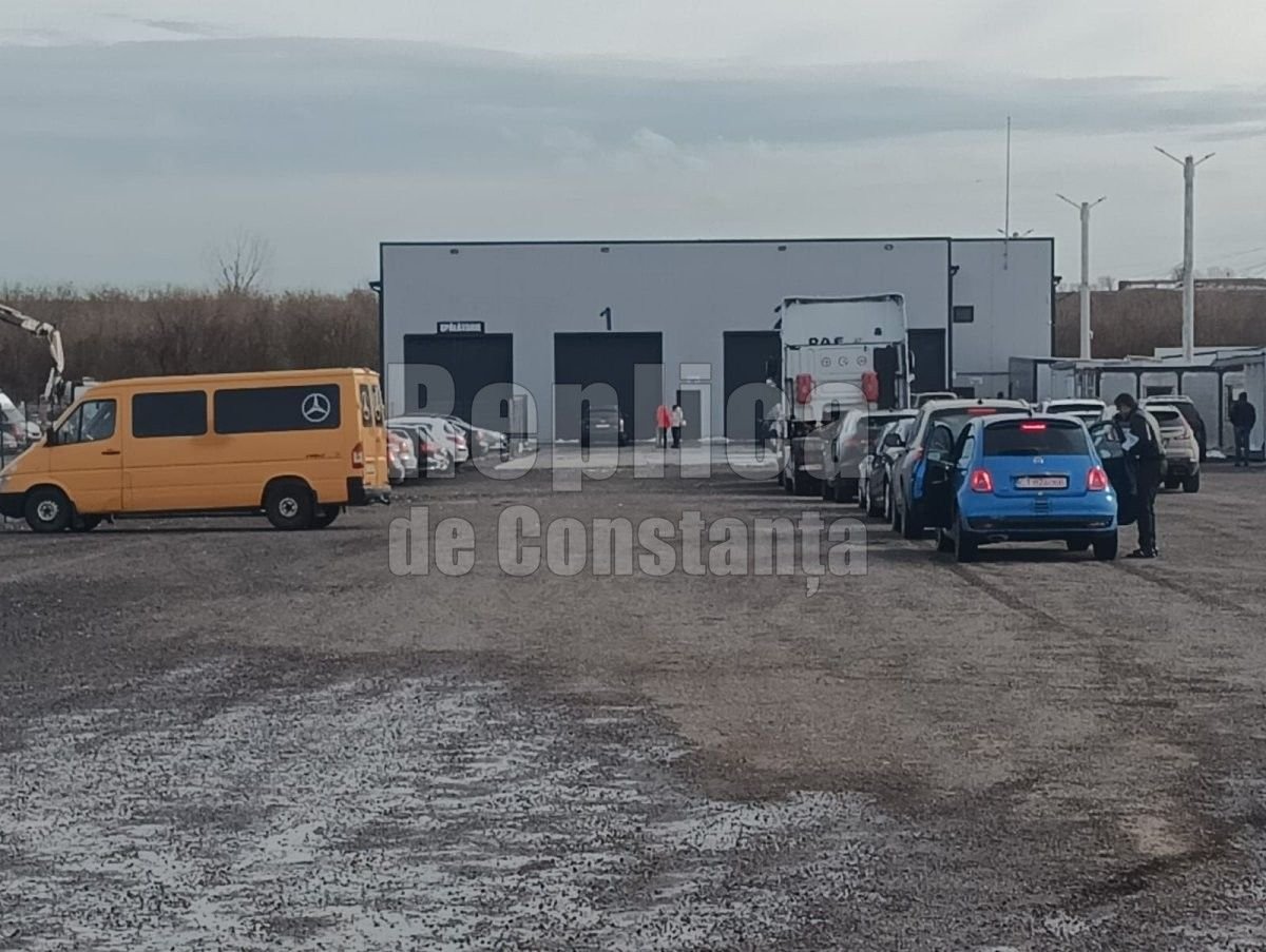 Registrul Auto Român va emite, de la 1 decembrie 2024, certificatul ...