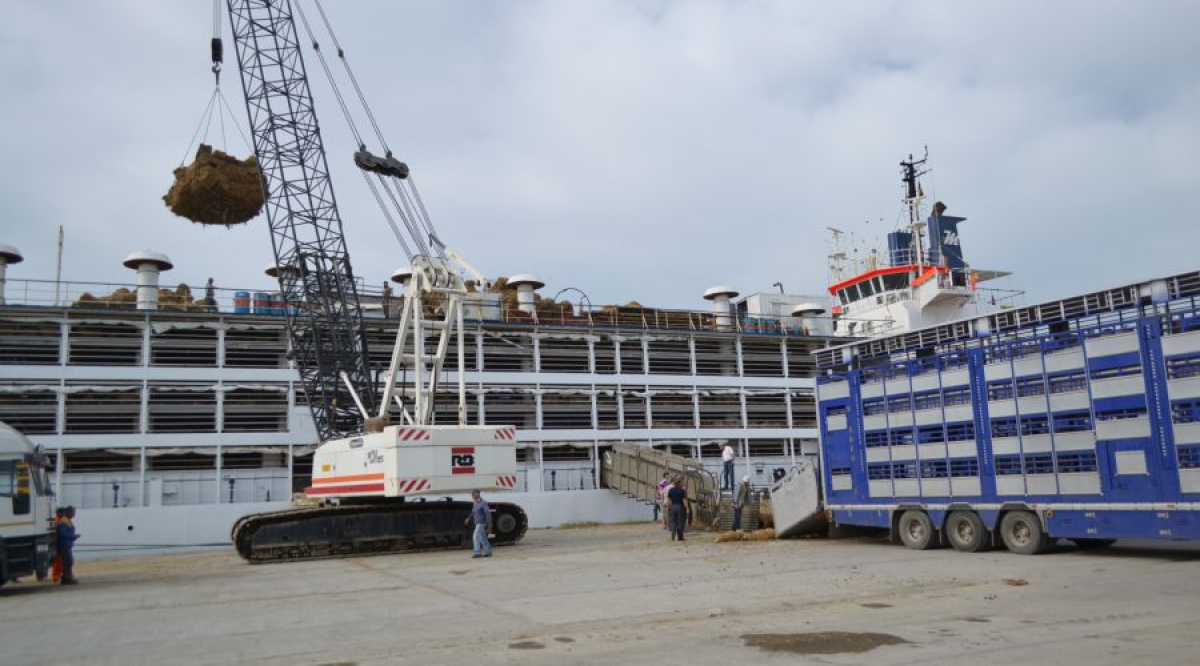 După 18 ani, se construiește un port pescăresc la Midia Năvodari ...