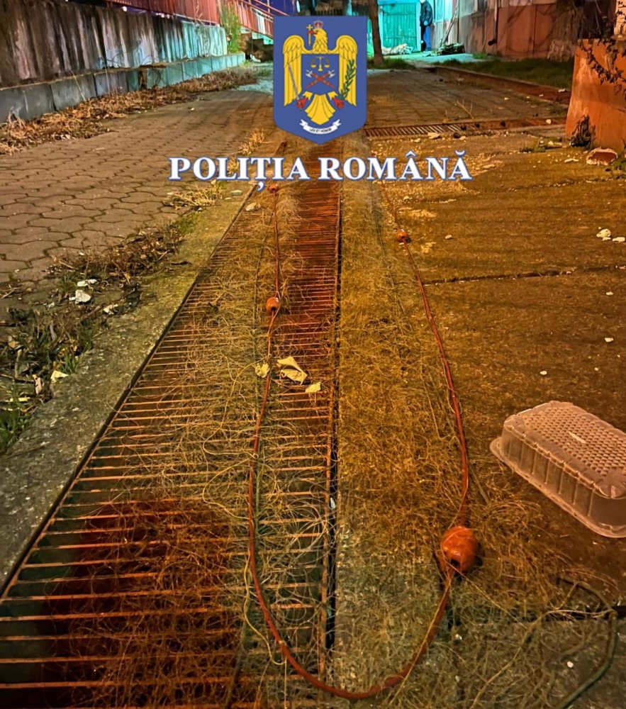 Braconier, prins la pescuit pe Canalul Dunăre-Marea Neagră ...