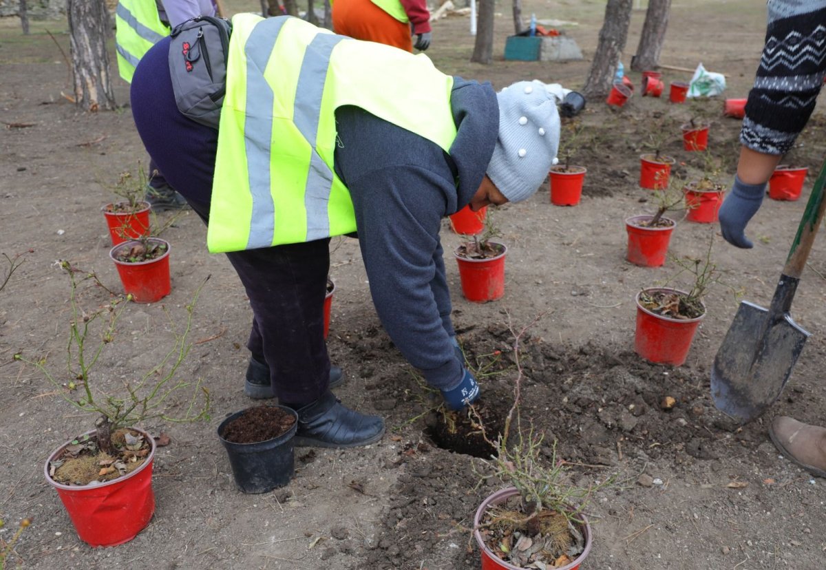 Primăria Constanța anunță planul de înverzire a orașului | replicaonline.ro