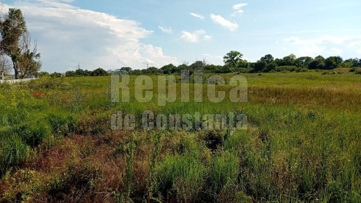 Primăria Agigea a câștigat procesul cu Universitatea Alexandru Ioan ...