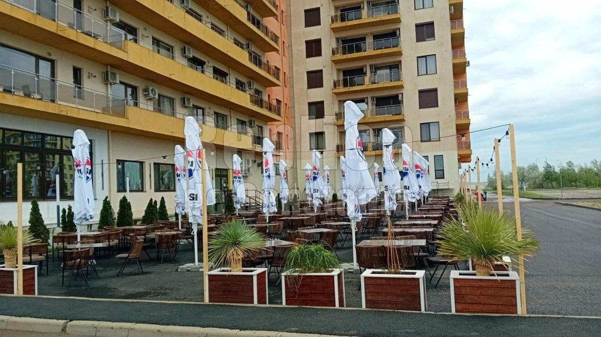 Pescobar vrea să-și mute figurile... congelate și la Eforie. Video ...