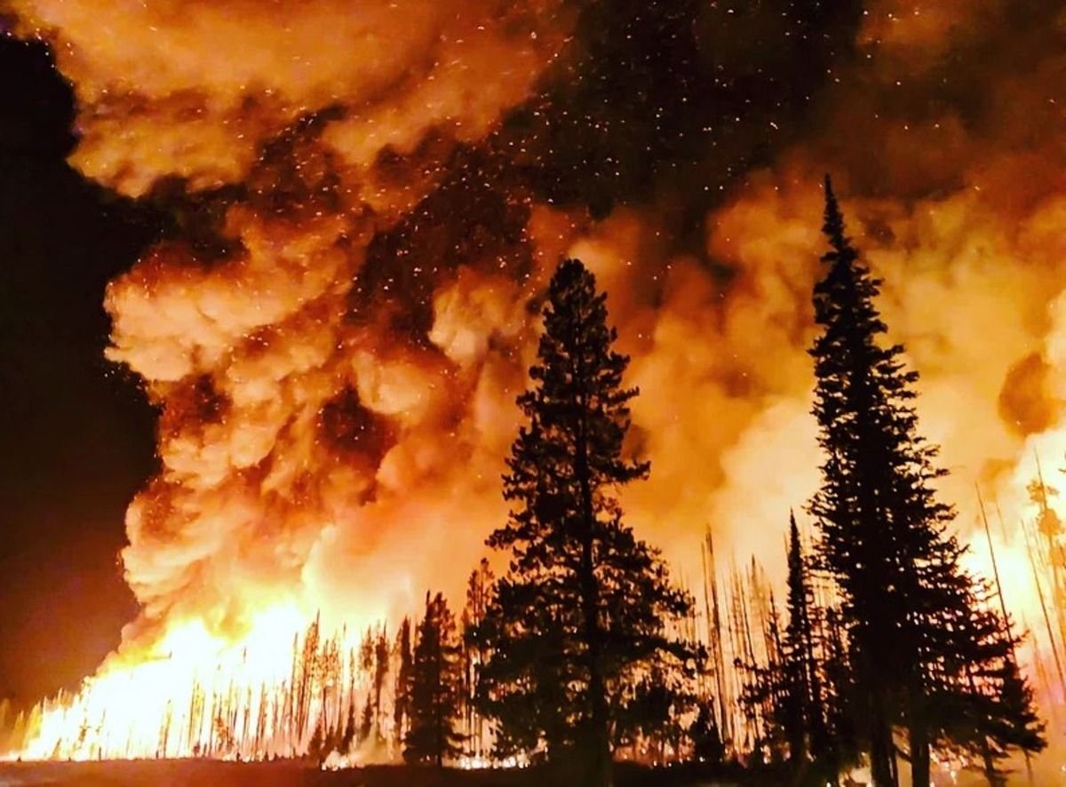 Aerul poluat de incendii este asociat cu 1,5 milioane de decese pe an ...