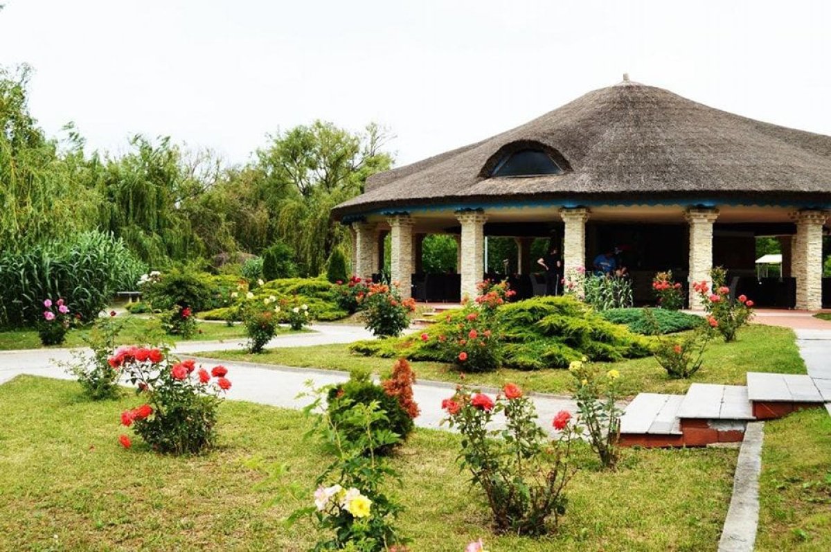 Mihai Puflene, de la Puflene Resort din Deltă, în atenția Gărzii de ...