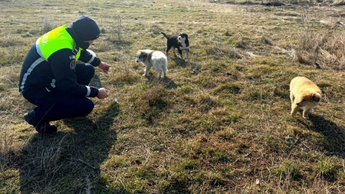 Resturile dronei descoperite vineri lângă Galați, care conținea ...
