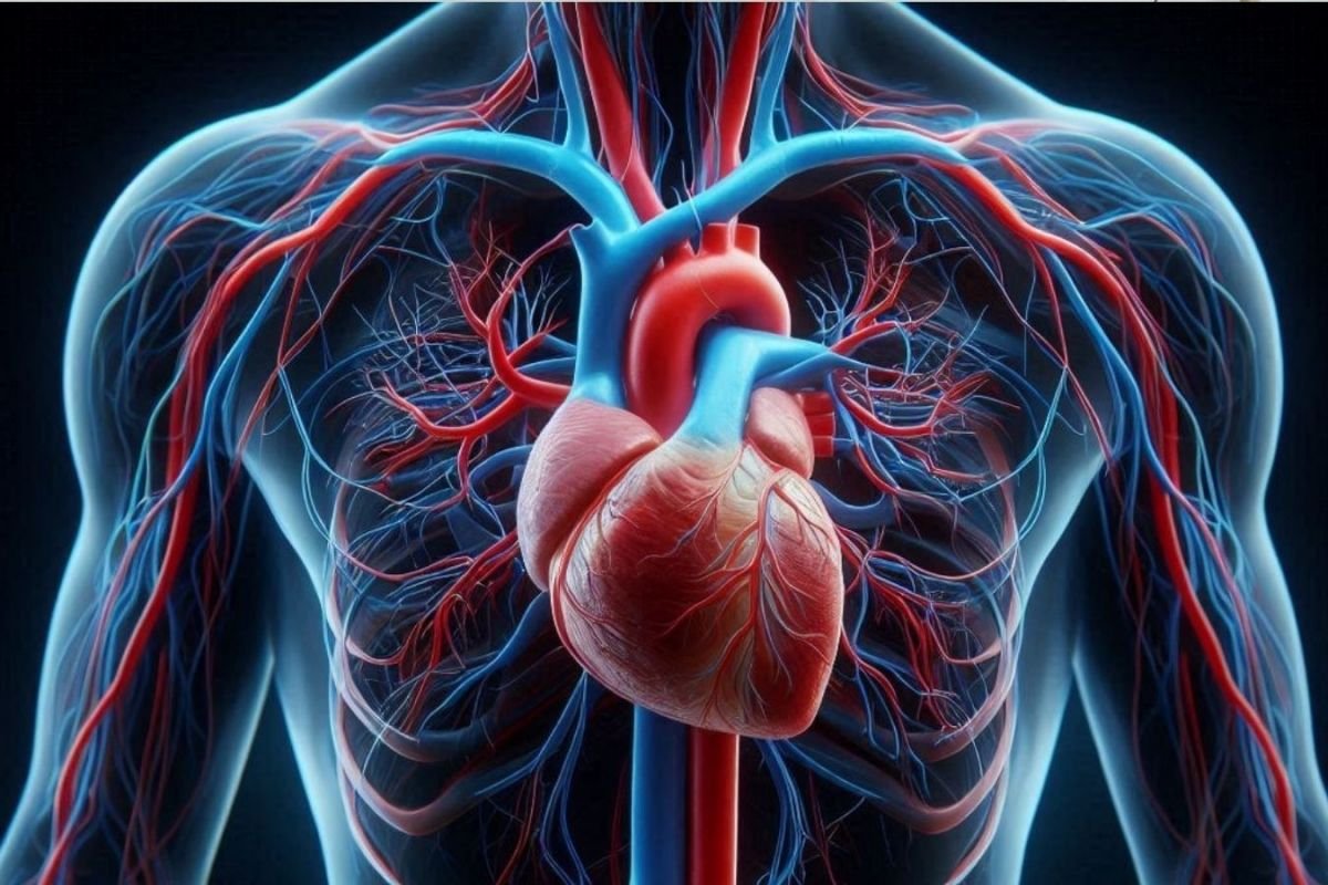 Descoperire de top: Terapie injectabilă care ajută inima să se vindece ...