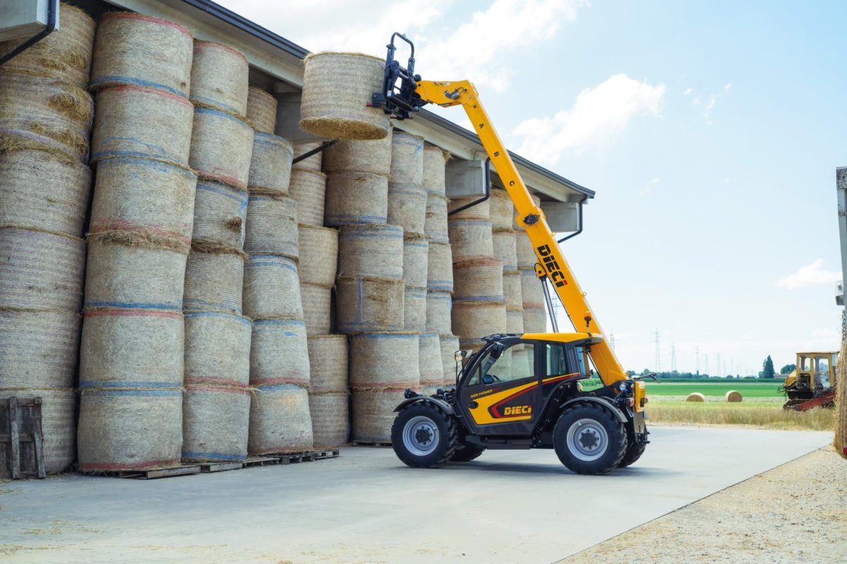 Cum au ajuns frații Pavăl de la un butic de 16 mp la imperiul Dedeman ...