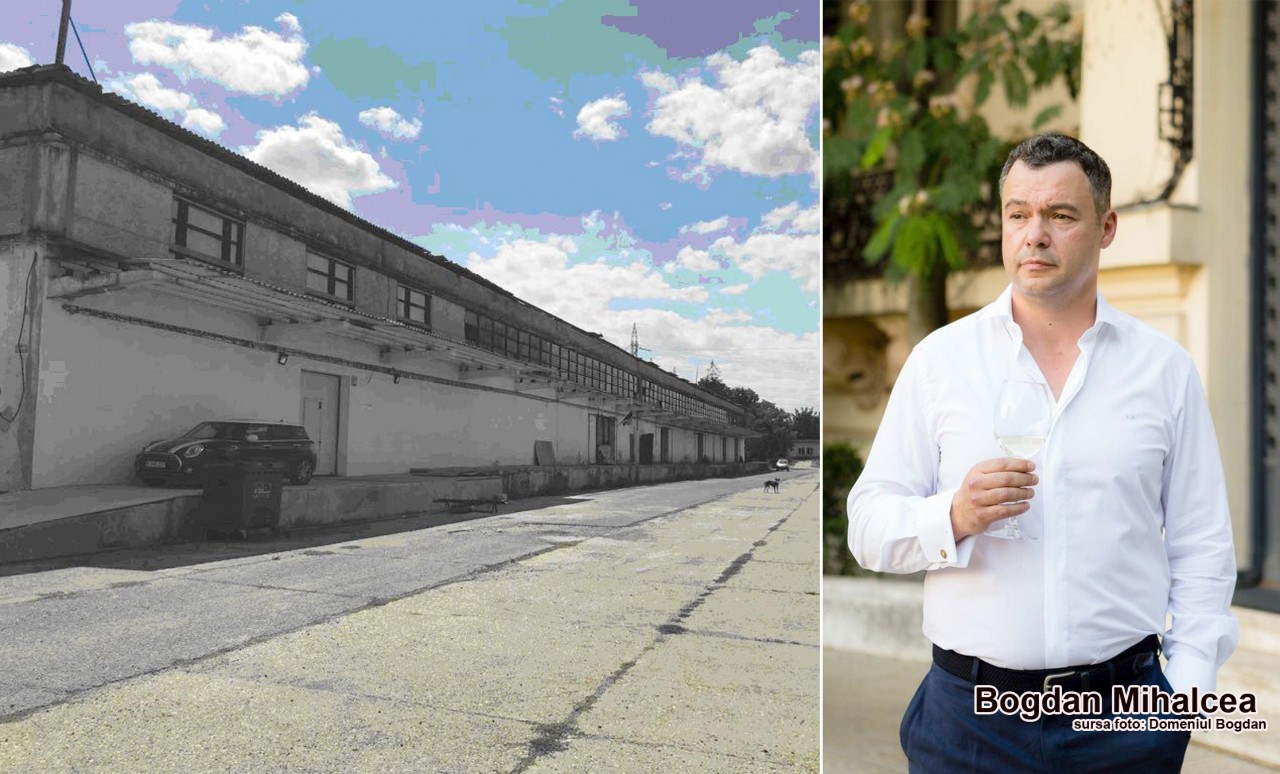 De la eoliene, la afacerile cu vin din strugurii cultivati la Pestera ...