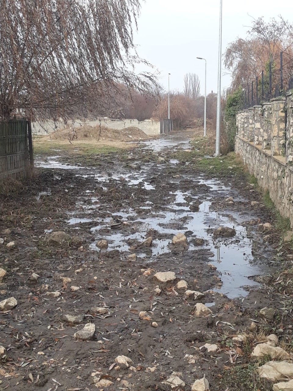 Palazu Mare, cartierul rezidenţial cu străzi mai rău ca la ţară, dar cu ...