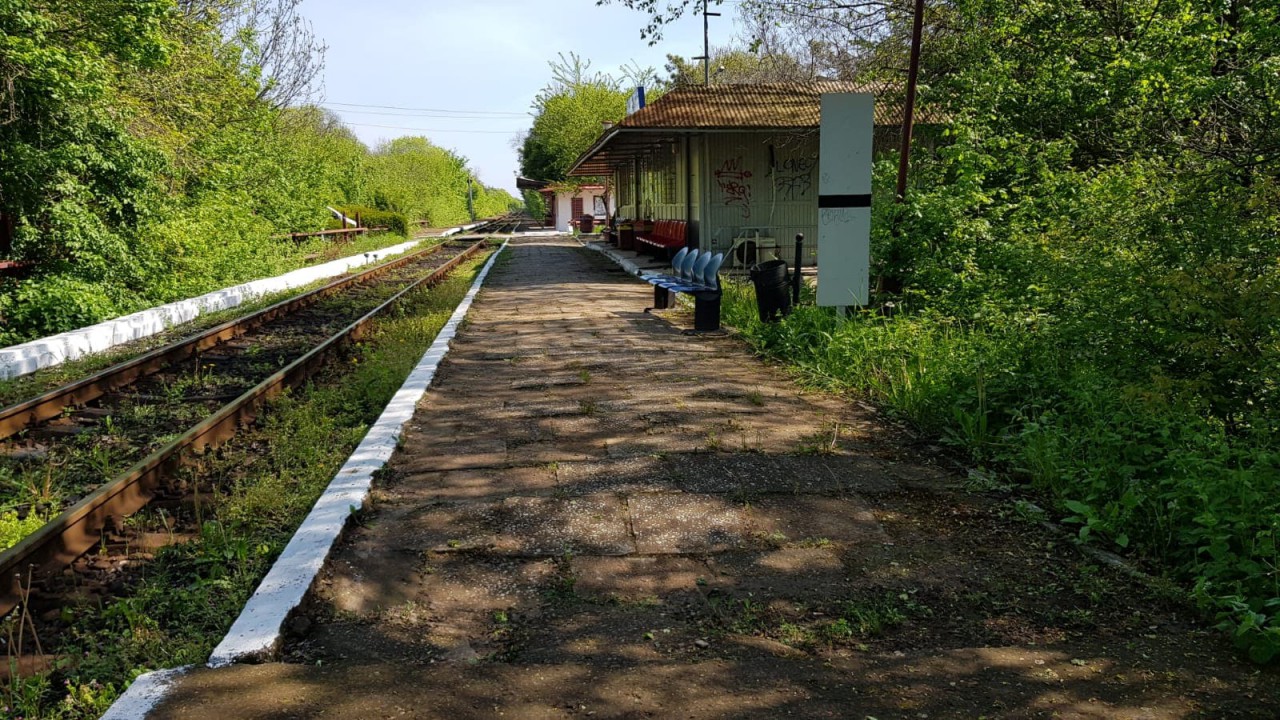 GALERIE FOTO. Aşa sunt întâmpinaţi turiştii în sudul litoralului! Gara ...