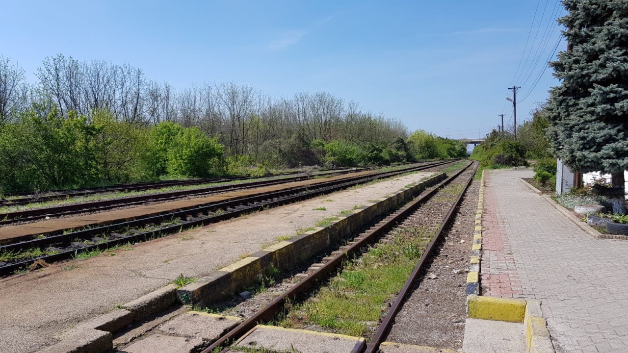 GALERIE FOTO. Aşa sunt întâmpinaţi turiştii în sudul litoralului! Gara ...