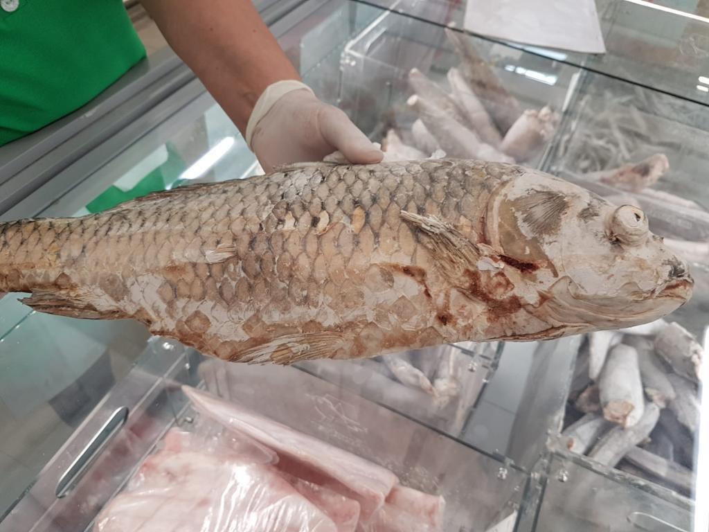 Controale la foc automat! Magazine pline de pește stricat! VIDEO ...