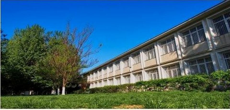 Sărbătoare la Școala nr. 8 Constanța, cu târg de prăjituri și ...