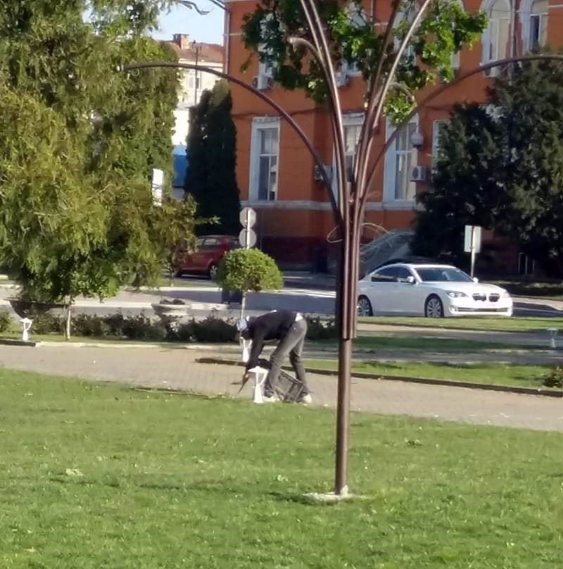 Romii au început să vâneze porumbei de foame! | replicaonline.ro