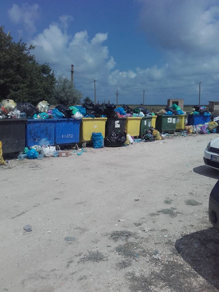 PLAJA SĂLBATICĂ de la CORBU s-a UMPLUT de ANIMALE | replicaonline.ro