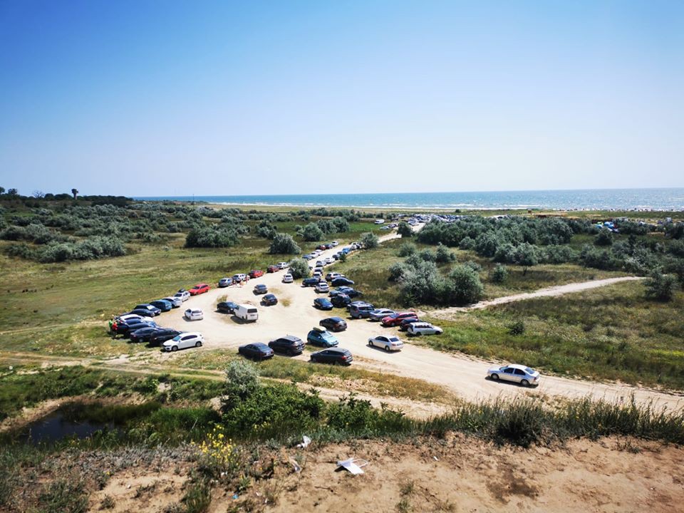 PLAJA SĂLBATICĂ de la CORBU s-a UMPLUT de ANIMALE | replicaonline.ro