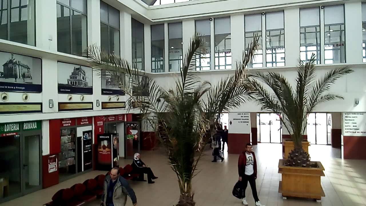 Firma sancționată pentru EVAZIUNE fiscală scoate bani din WC-urile din ...