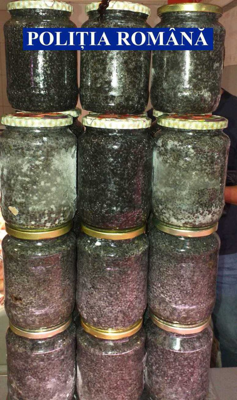 CERCETAȚI pentru DEȚINERE ILEGALĂ de STURIONI! Video | replicaonline.ro