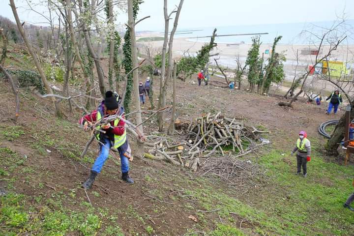 Primaria cauta SOLUTII pentru STOPAREA eroziunii TALUZULUI de pe plaja ...