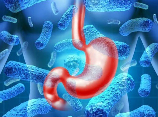 Cum recunoști o toxiinfecție alimentară | replicaonline.ro