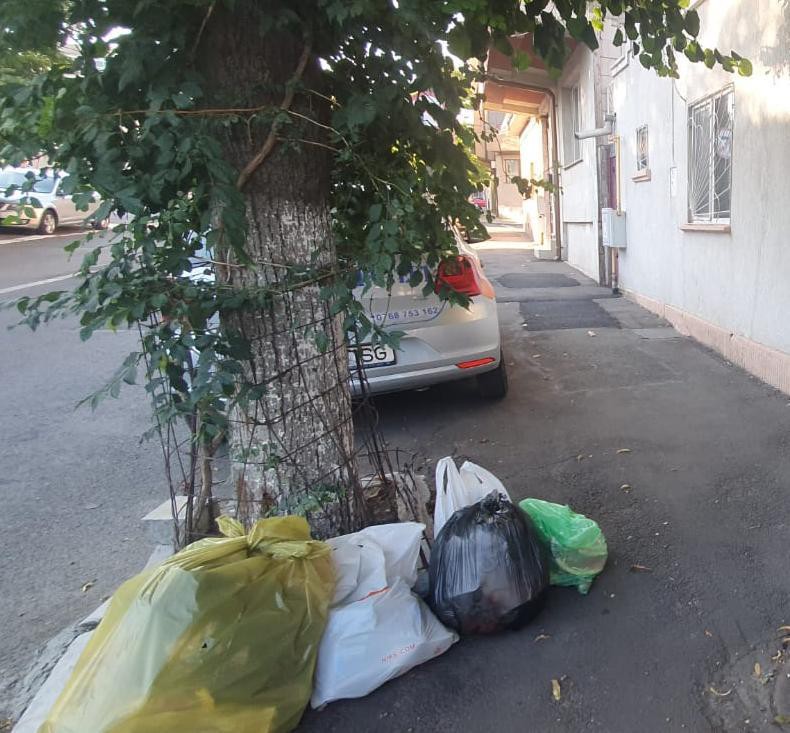 AMENZI usturătoare pentru aruncarea GUNOIULUI pe domeniul public ...