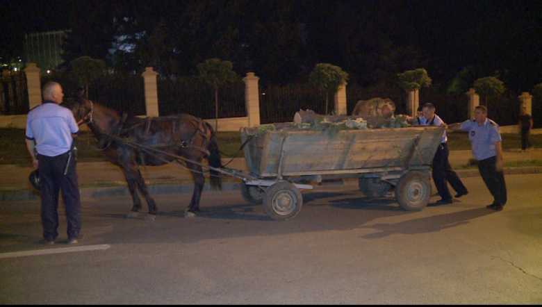HOŢII care se foloseau de CĂRUŢĂ pentru a TRANSPORTA MARFA FURATĂ ...