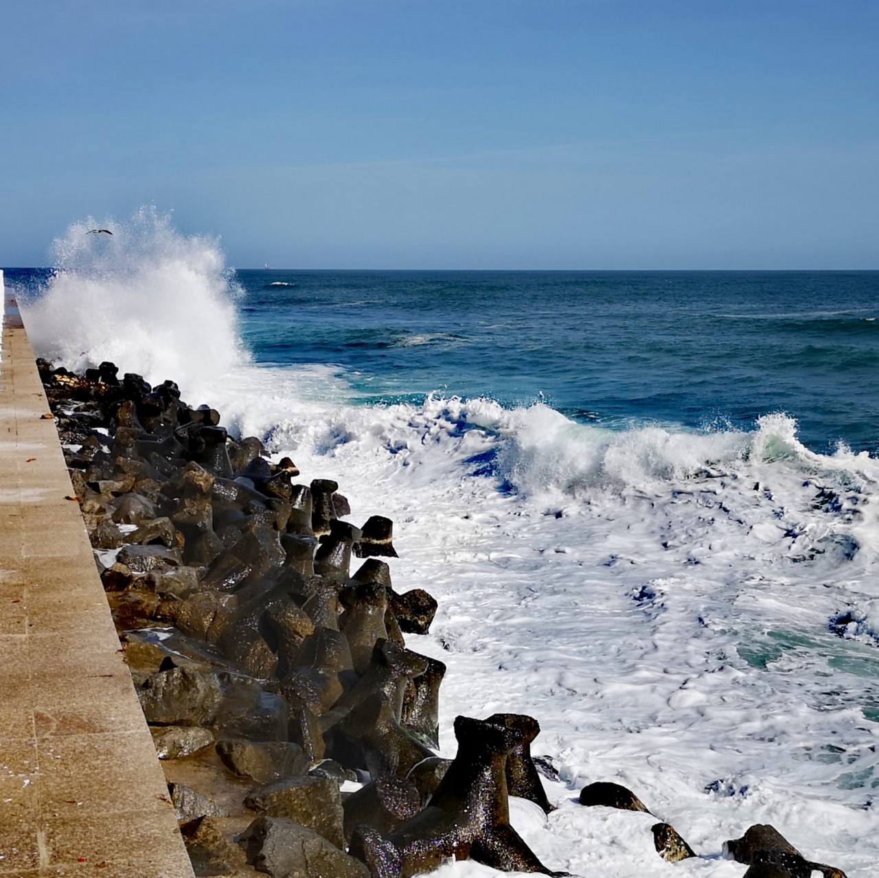 Cod galben de vânt puternic la Constanța! | replicaonline.ro