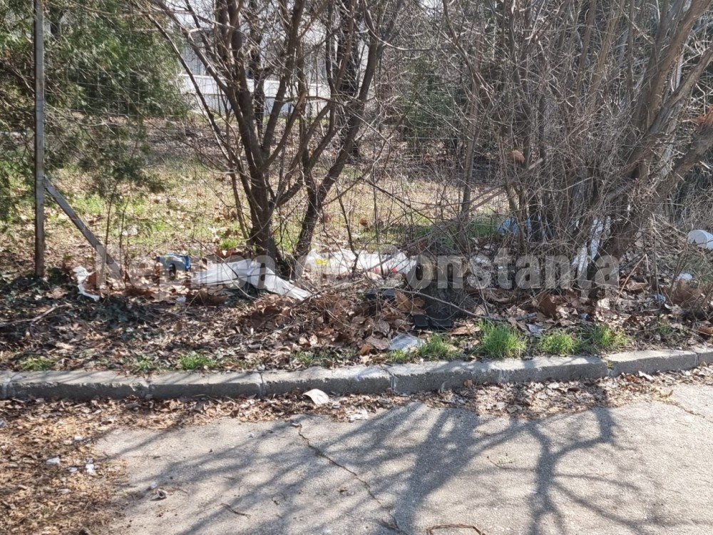 Complexul Brateș din Venus, al afaceristei Luchi Georgescu, a ajuns o ...